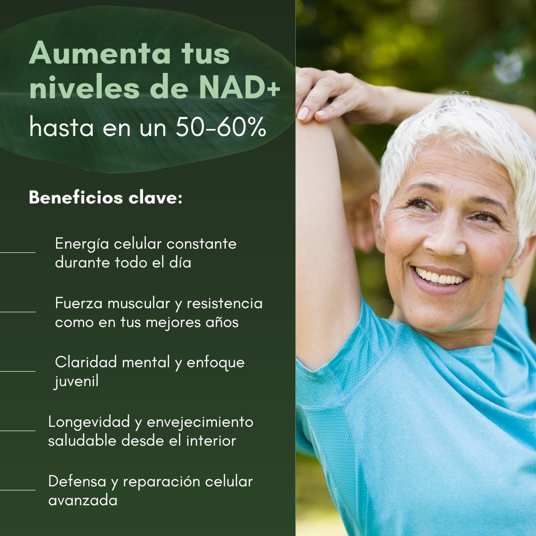 NAD+-RESVERATROL – Zendi Nature MX